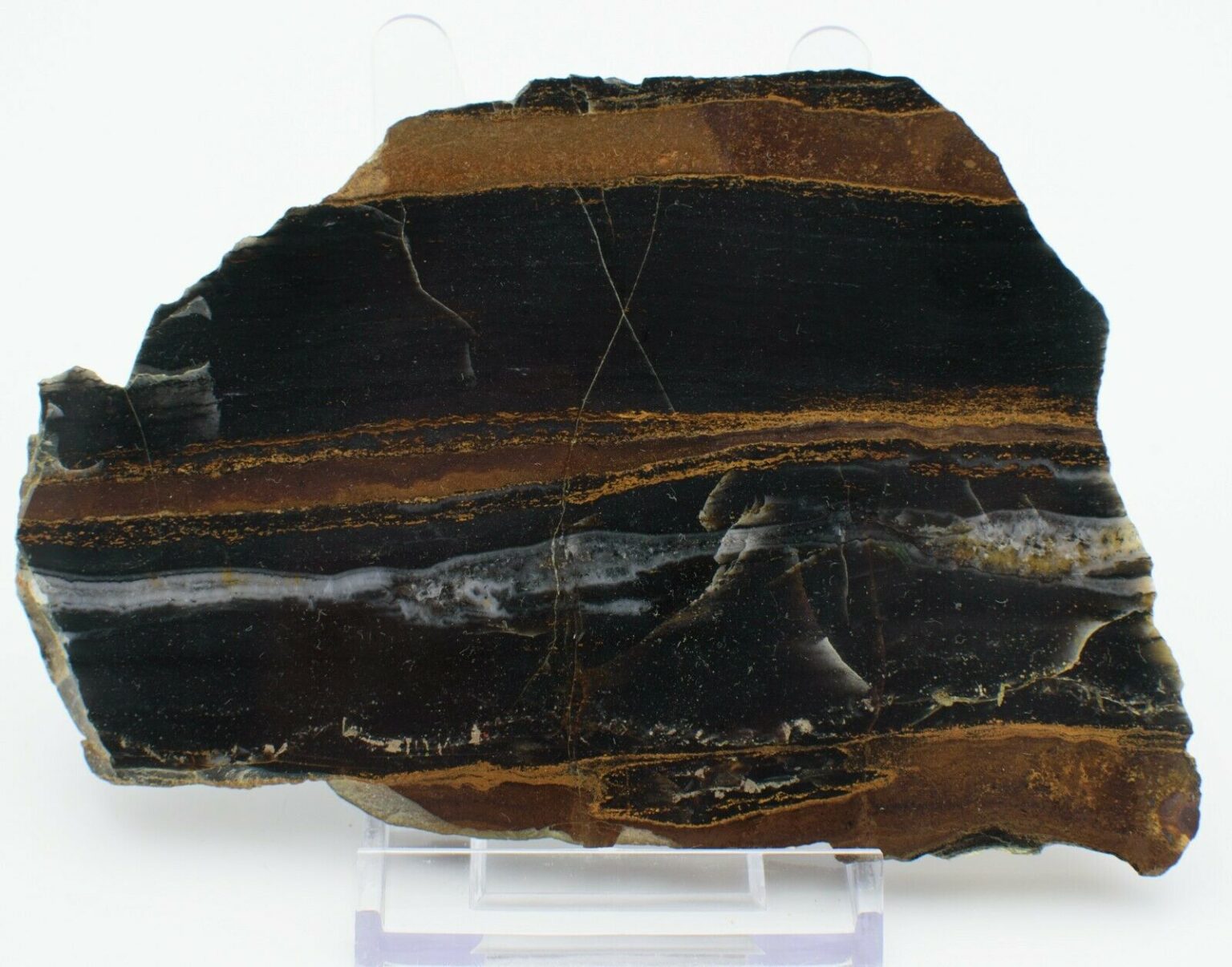 Polished Western Australian Chert Pyrite Slice Stone Slab Pilbara ...
