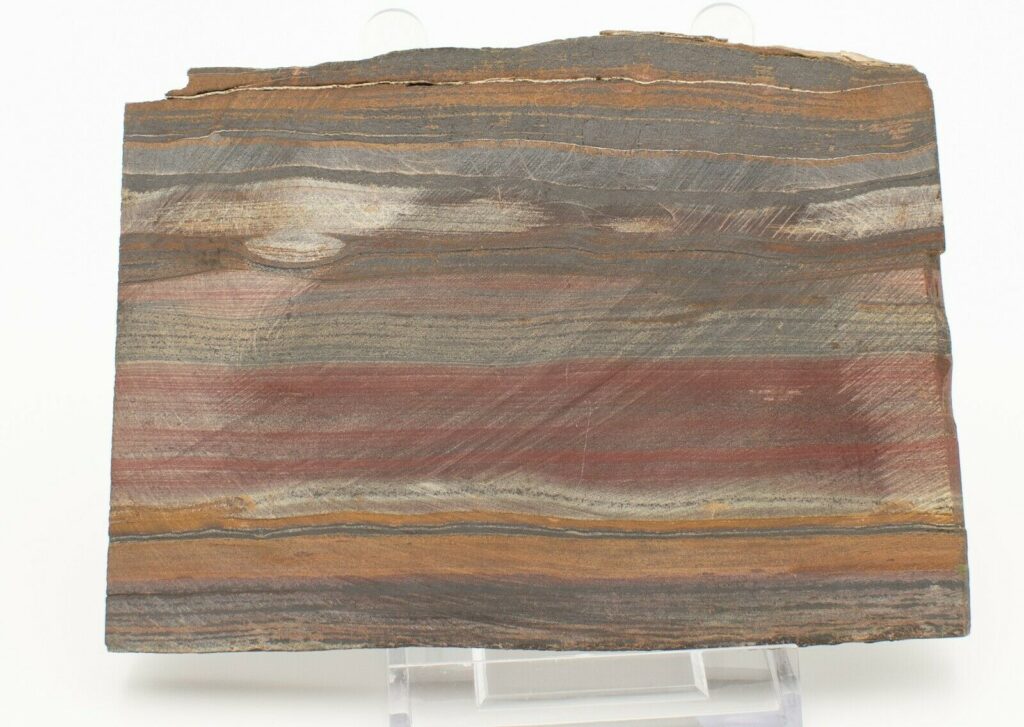 Polished Western Australian Banded Iron Jasper Slice Stone Slab Pilbara ...
