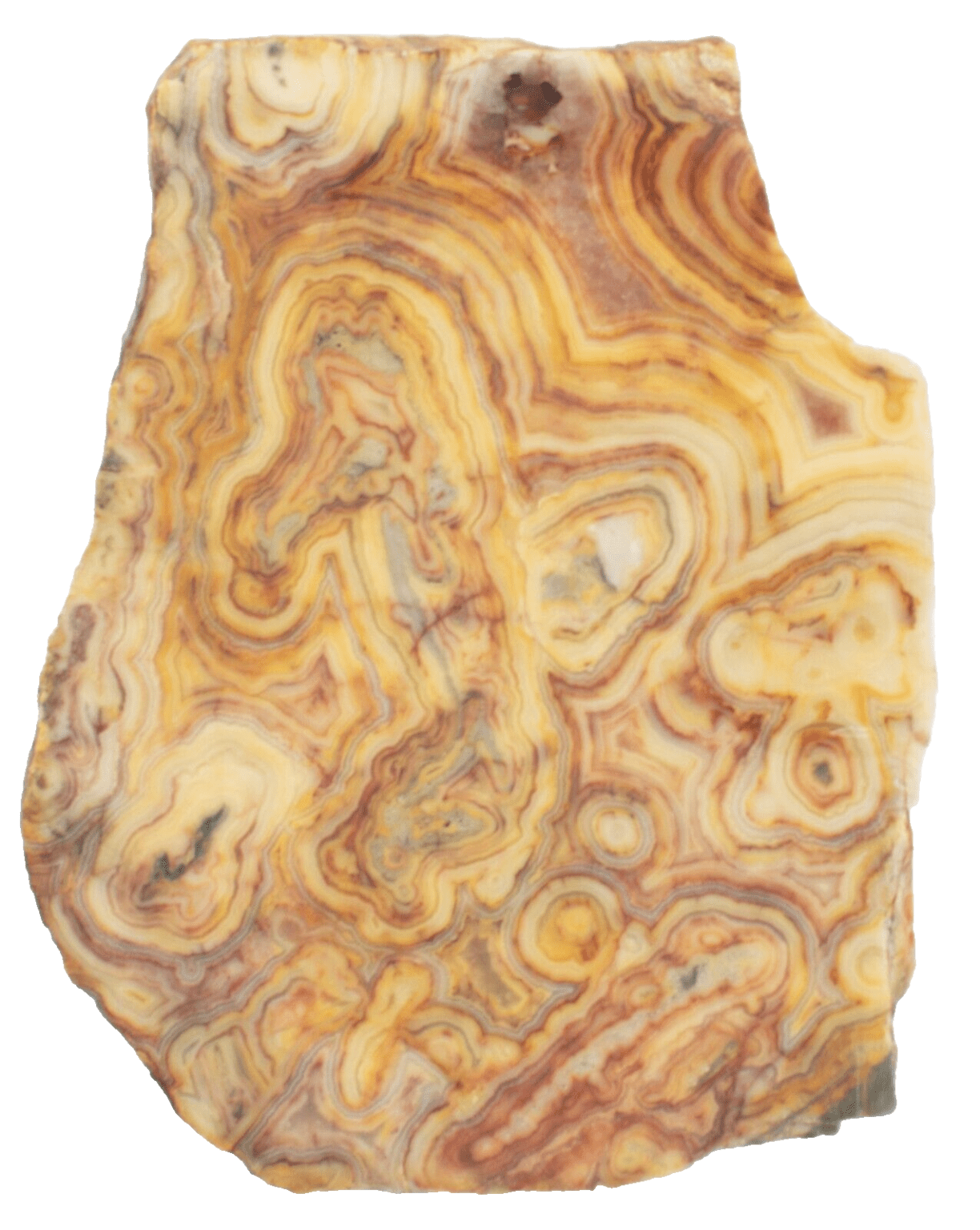 Polished Western Australian Crazy Lace Agate Slice Stone Slab Pilbara ...
