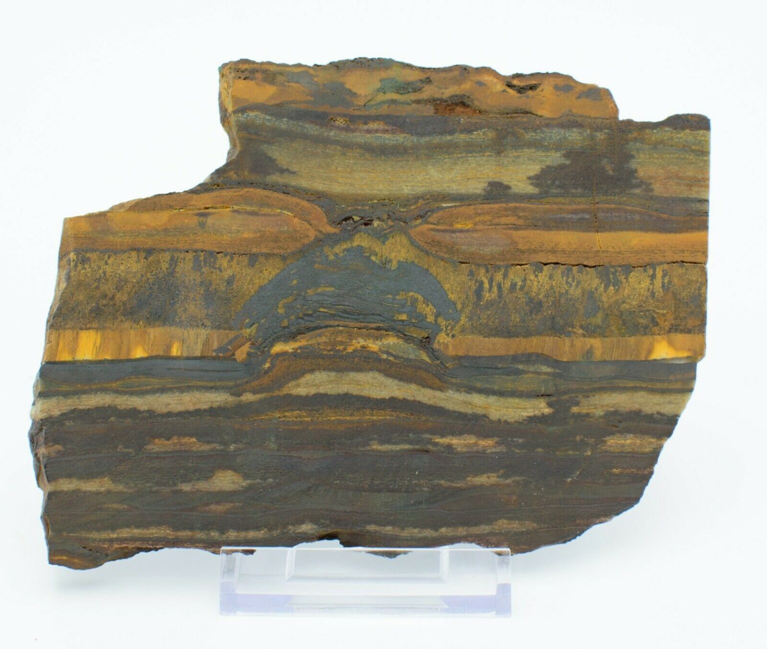 Polished Western Australian Tiger Eye Hematite Chert Slice With Free ...