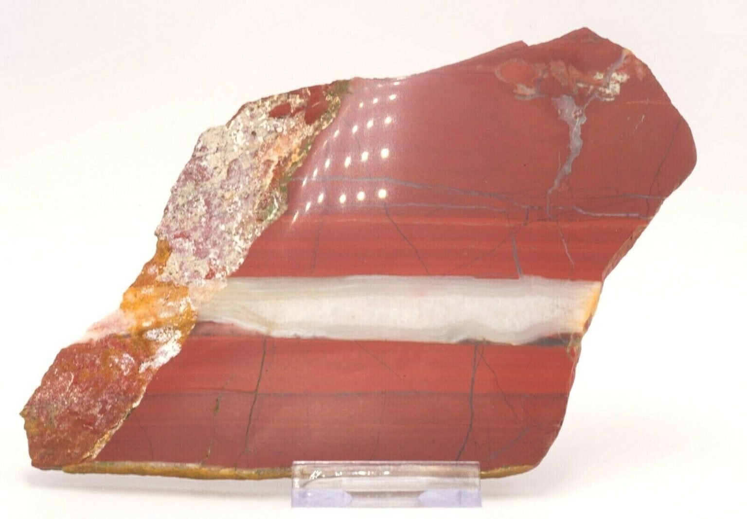 Western Australia Pilbara Marble Bar Polished Jasper Chert Slice With ...